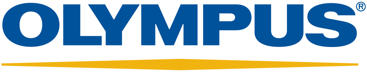 Greek Olympus Logo
